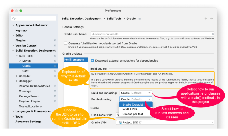 Getting to Know IntelliJ IDEA Book Launch! - Helen Scott